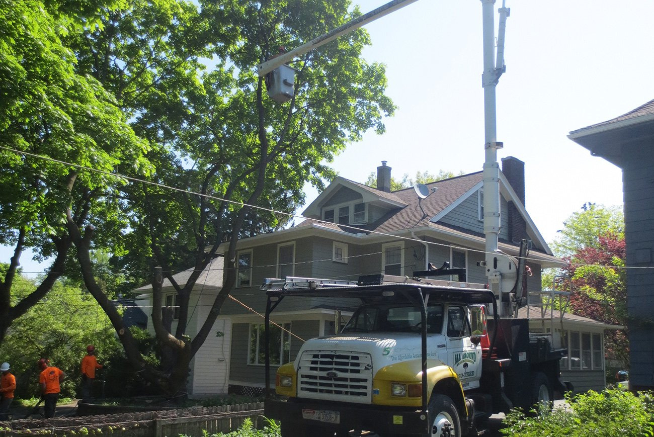 All Around Landscape & Tree Service | Tree Service in Fairport, NY