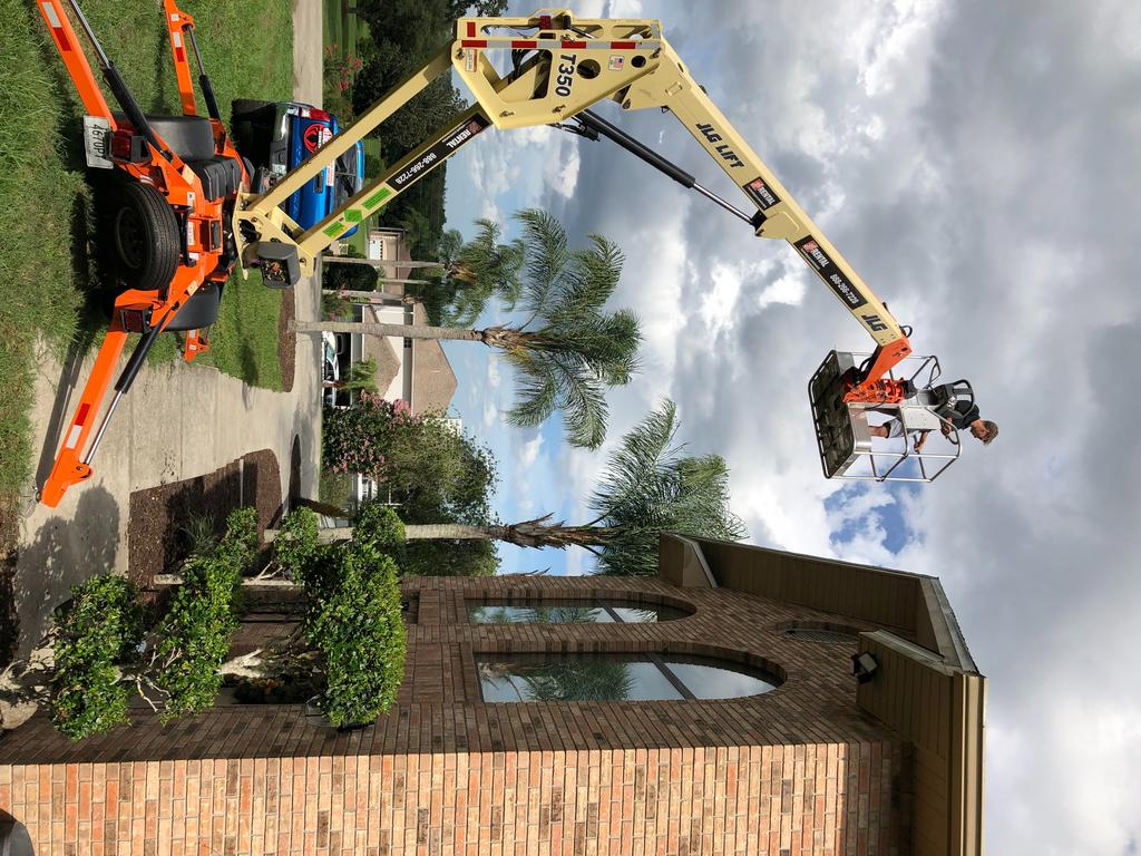 Webenex Services | Pest Control Service in Clermont, FL
