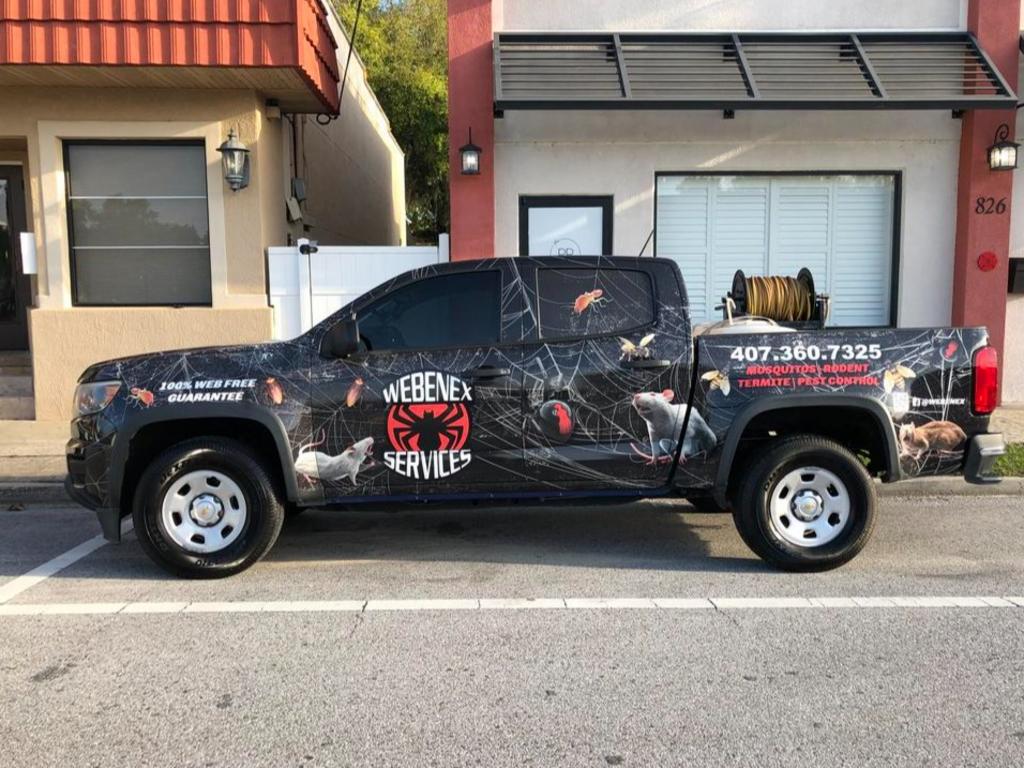 Webenex Services | Pest Control Service in Clermont, FL