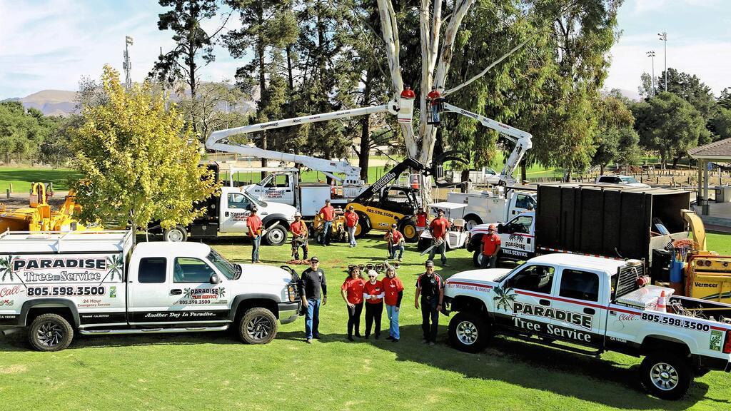 Paradise Tree Service | Tree Service in Nipomo, CA