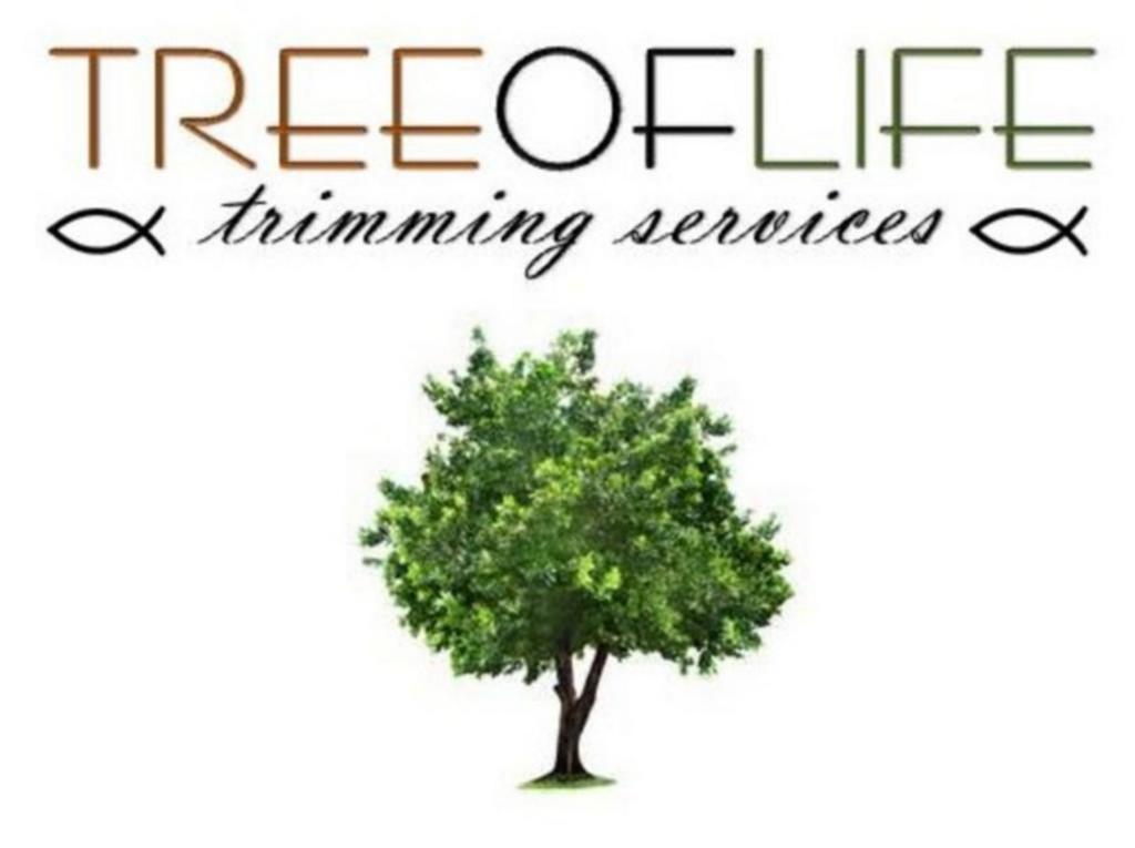 Tree Of Life Trimming Services | Tree Service in Federal Heights, CO
