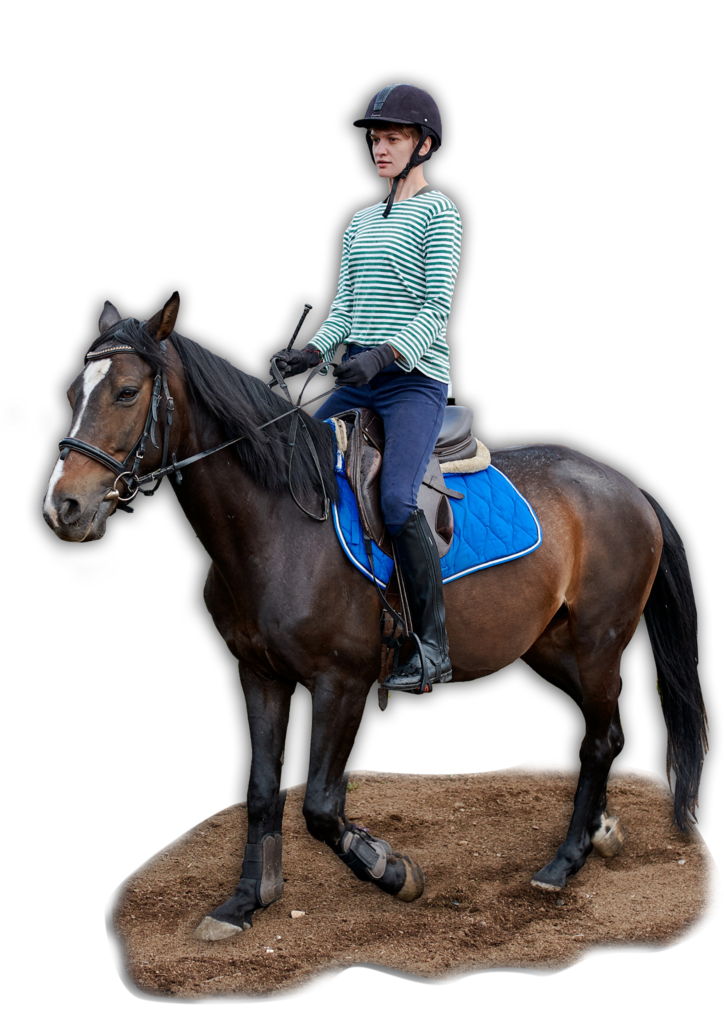 Suncoast Recovery Ranch | Wellness Center in Southwest Ranches, FL