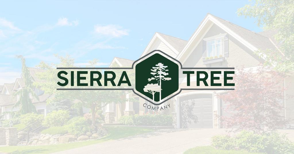 Sierra Tree Company | Tree Service in Santa Rosa, California