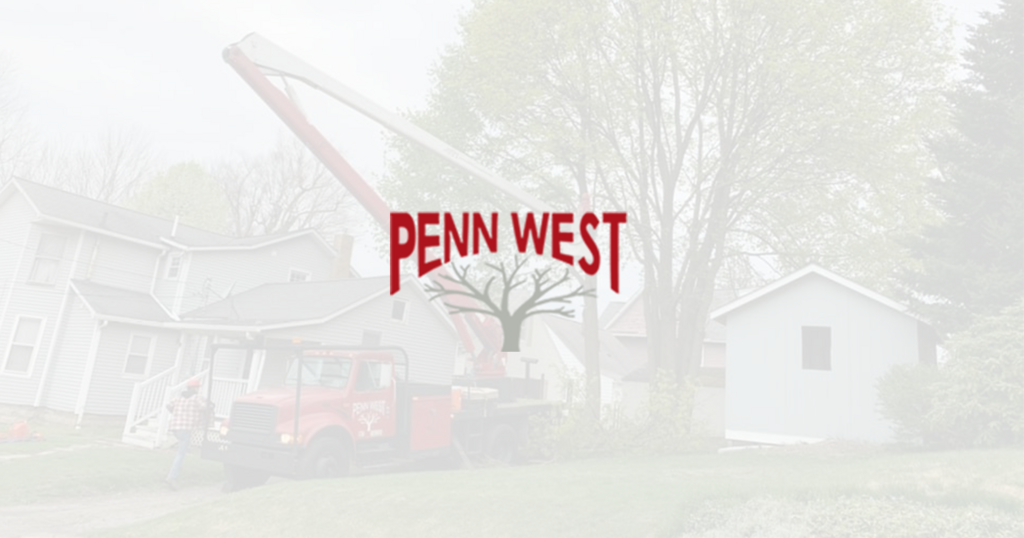 Penn West Tree Service, Inc | Tree Service in Hermitage, PA