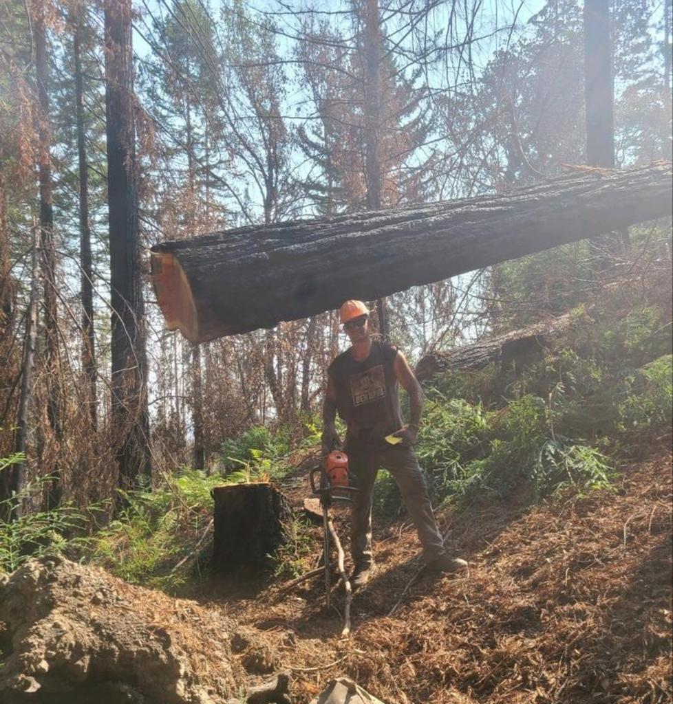 Brown’s Logging & Tree Service | Tree Service in Cazadero, CA