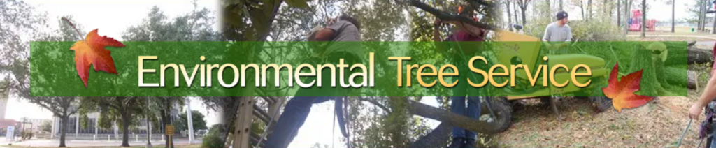 Environmental Tree Service | Tree Service in Beaumont, TX