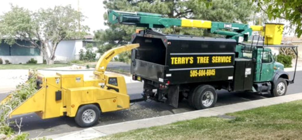 Terry's Tree Service | Tree Service in Peralta, NM