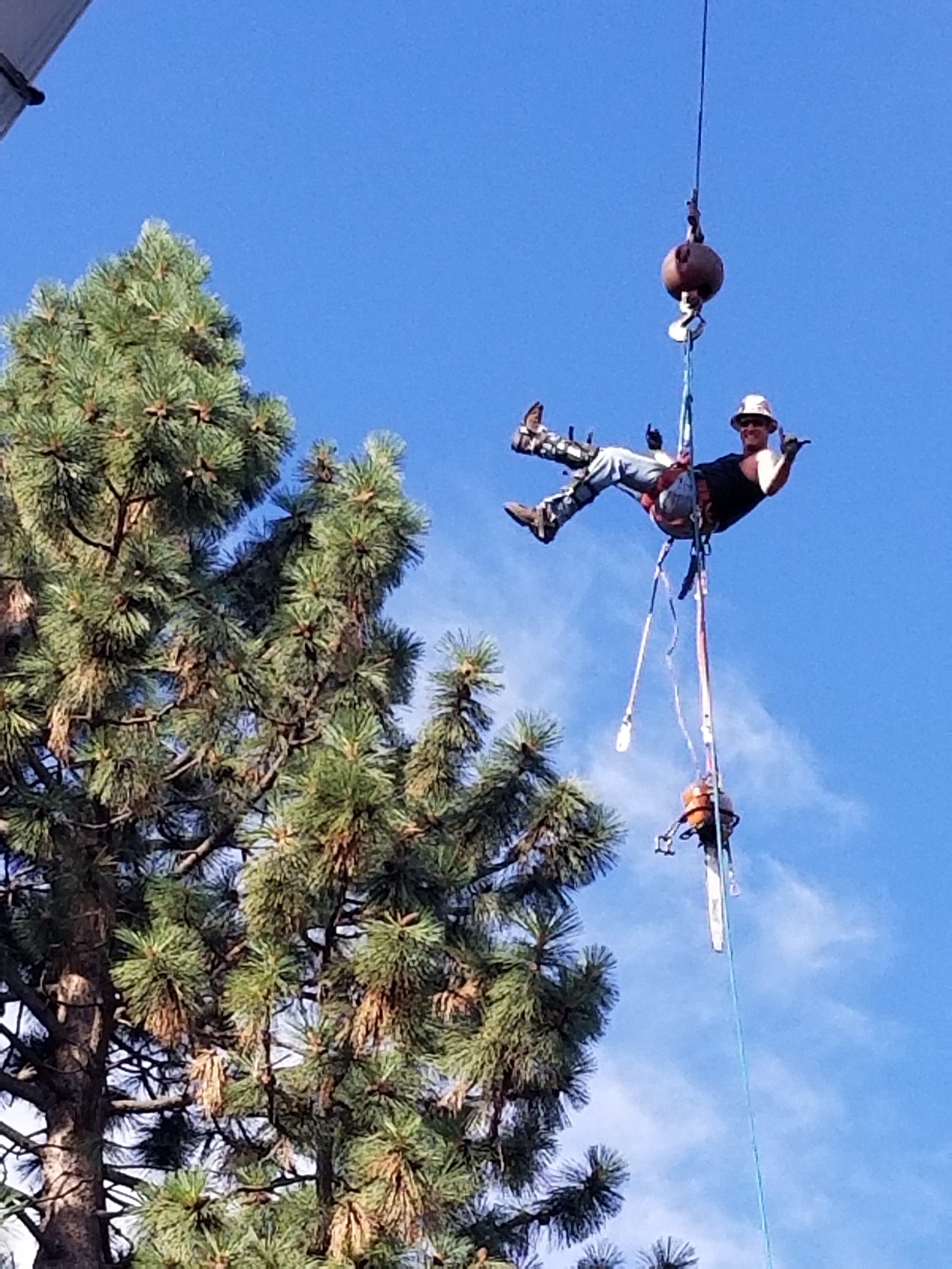Central Oregon Tree Experts | Tree Service in Bend, OR