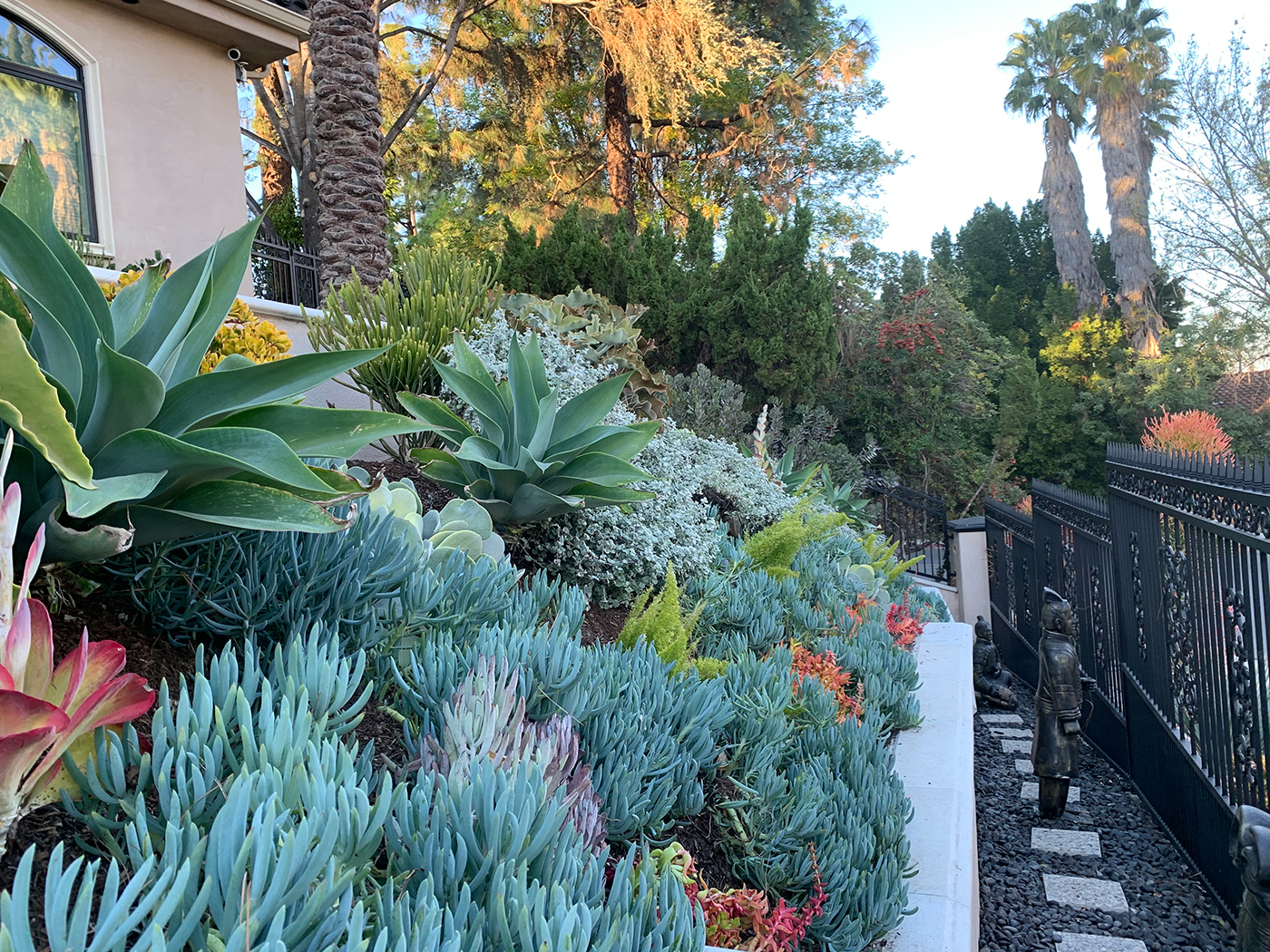 Dirt Beauty | Landscape Designer in Santa Monica, CA