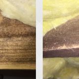 MOISTURE CONTROL TREATMENTS | Landlock Pest Control | Pest Control in ...