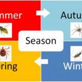 PEST CONTROL | Landlock Pest Control | Pest Control in Toano, VA