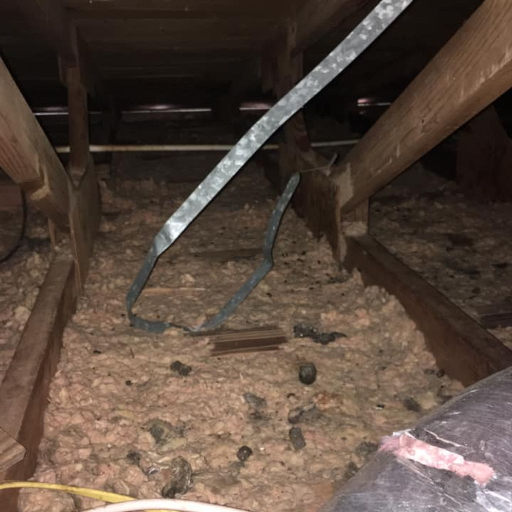 ATTIC RESTORATION | Guardian Termite & Pest Control, LLC | Pest Control ...